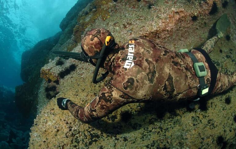 Warkworth: Full-Day Spearfishing Charter - Who Might Want to Skip It?