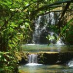 Waterfalls and Nature Tour - The Sum Up: Is the Waterfalls and Nature Tour Worth It?