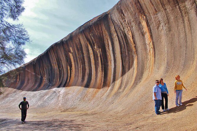 Wave Rock & Rottnest Island - Air & Ground Tour - Who Would Love This Tour?
