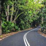 Waves Waterfalls and Wineries Full-Day Southern Highlands Private Tour - Who Will Appreciate This Tour?