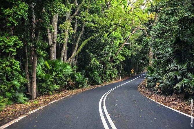 Waves Waterfalls and Wineries Full-Day Southern Highlands Private Tour - Who Will Appreciate This Tour?