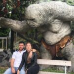 Wellington city heights private sightseeing tour - Who Should Book This Tour?