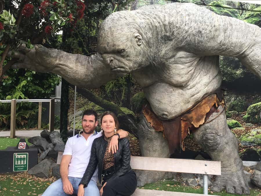 Wellington city heights private sightseeing tour - Who Should Book This Tour?