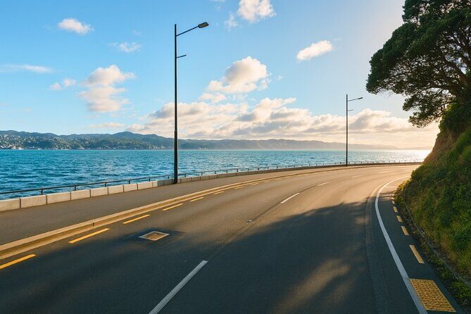 Wellington Coastal Self Drive Tour with an APP - Practical Details and What to Expect