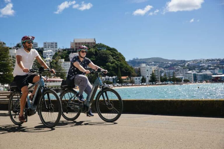 Wellington: Easy Rider Guided eBike Tour - A Detailed Breakdown of the Itinerary