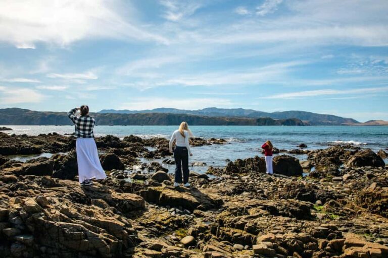 Wellington: Guided City Tour with Cable Car Ticket - What to Expect from the Tour