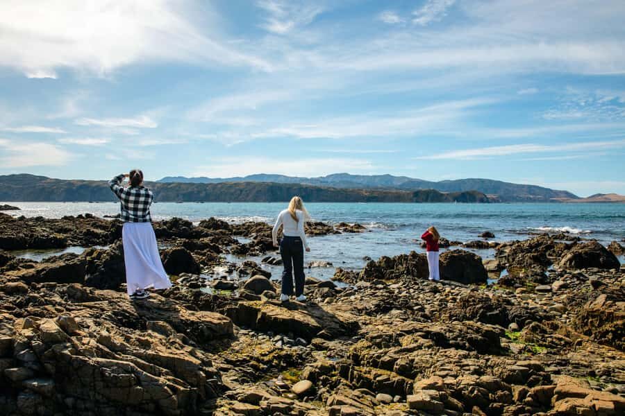 Wellington: Guided City Tour with Cable Car Ticket - What to Expect from the Tour