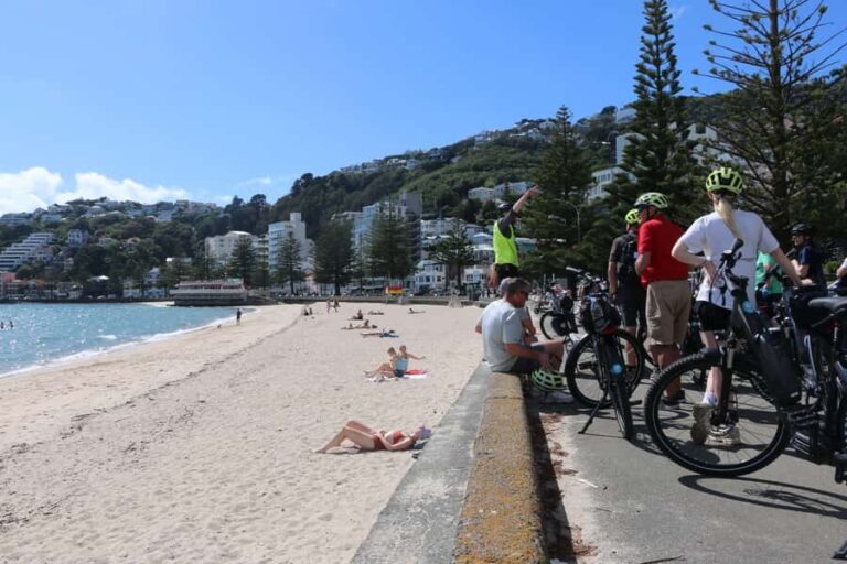 Wellington: Guided Sightseeing Tour by Electric Bike - What to Expect on the Tour