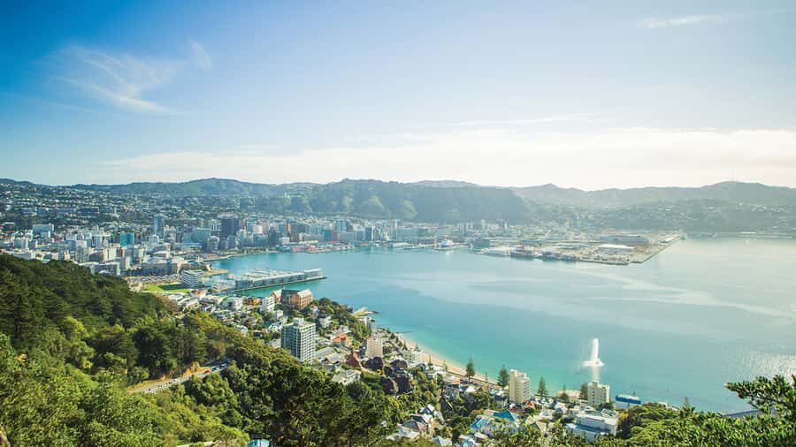 Wellington Helicopters Scenic Harbour Flight - What You Can Expect During the Flight