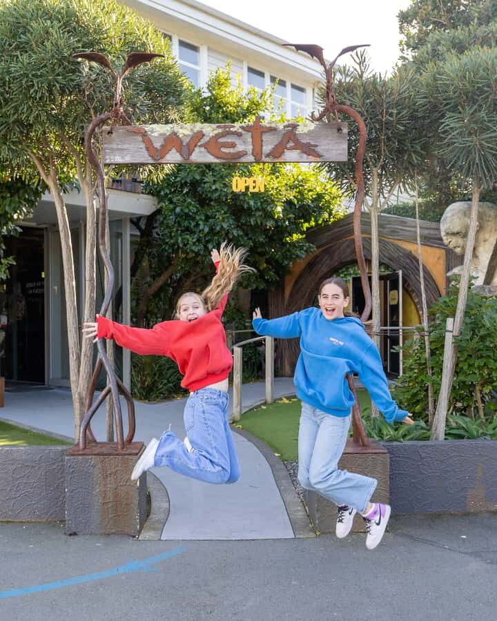 Wellington: Highlights Tour with a Local Guide - How to Value the Experience