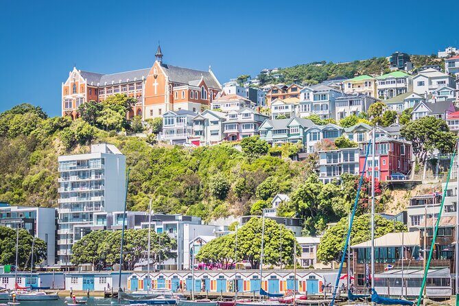 Wellington Hiking Tour: Climb & Unwind Experience - Practical Tips and Considerations