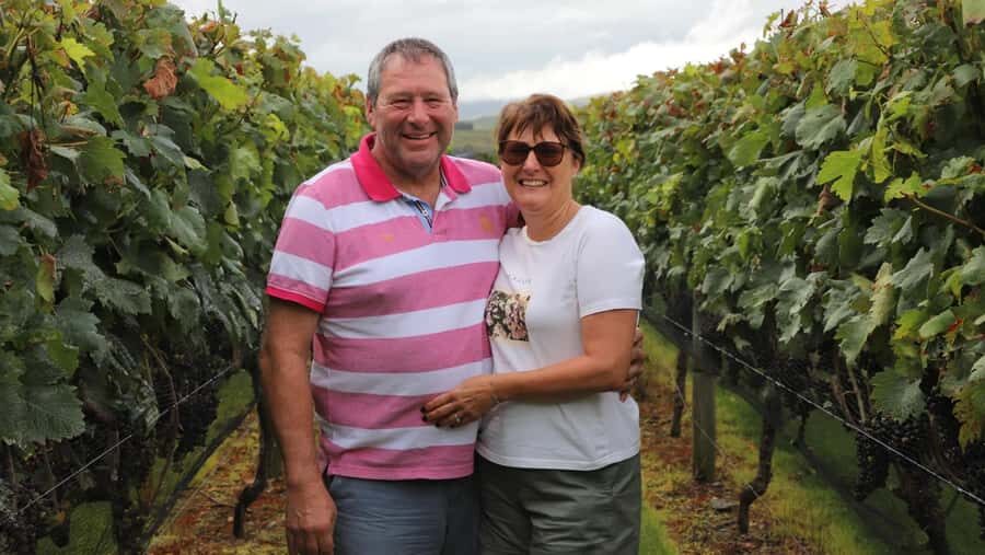 Wellington: Martinborough Private Winery Tour with Lunch - Value and Practical Details