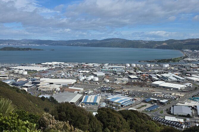 Wellington Native Bush Walking Tour - Practical Details and Tips