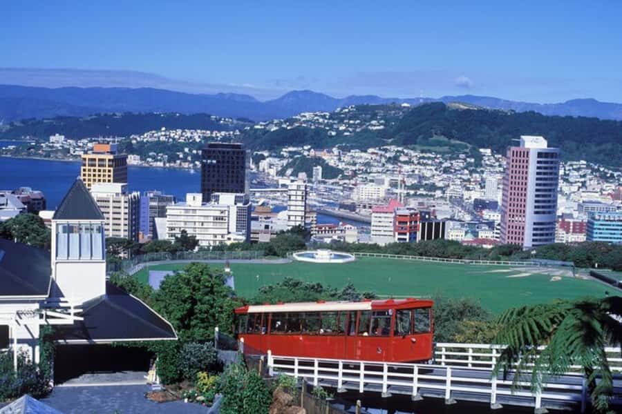Wellington: Private custom tour with a local guide - What Can You Expect During the Tour?