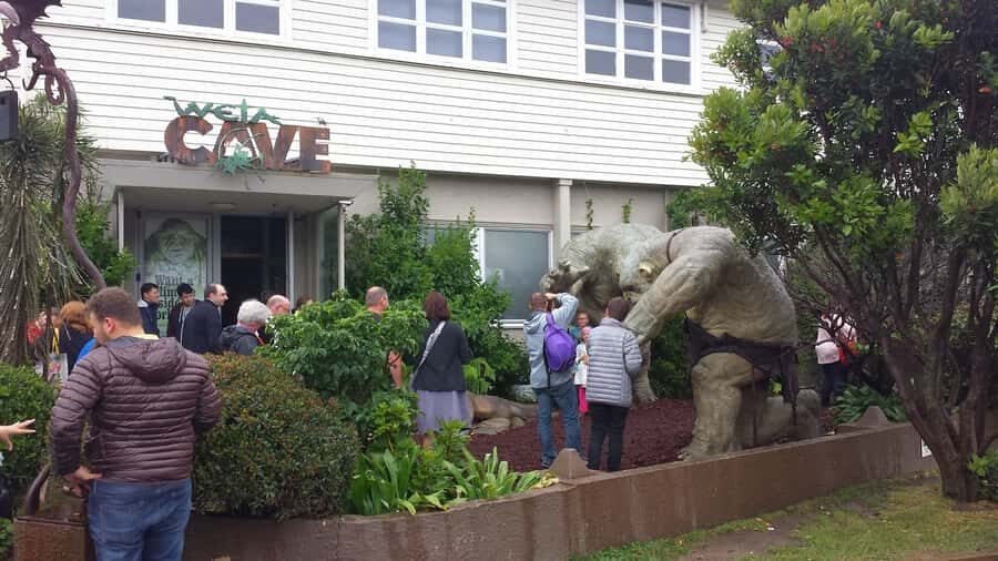 Wellington: Private Day Tour with Lunch - What Makes This Tour Stand Out?