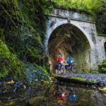 Wellington: Remutaka Rail Trail Cycle Tour - What Reviewers Are Saying