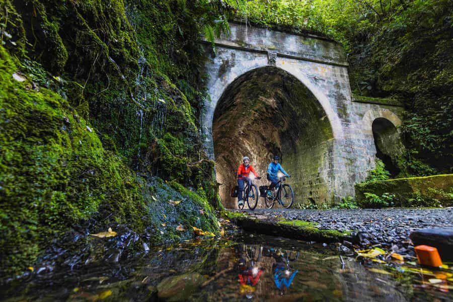 Wellington: Remutaka Rail Trail Cycle Tour - What Reviewers Are Saying