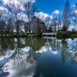 Wellington: Secret Realms of Middle-earth - Lothlorien - Value and Practicality: Is It Worth It?