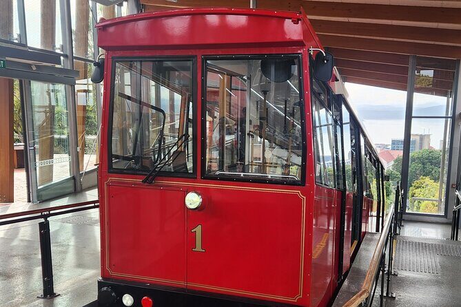 Wellingtons Historical Walking Odyssey - Who Would Love This Tour?