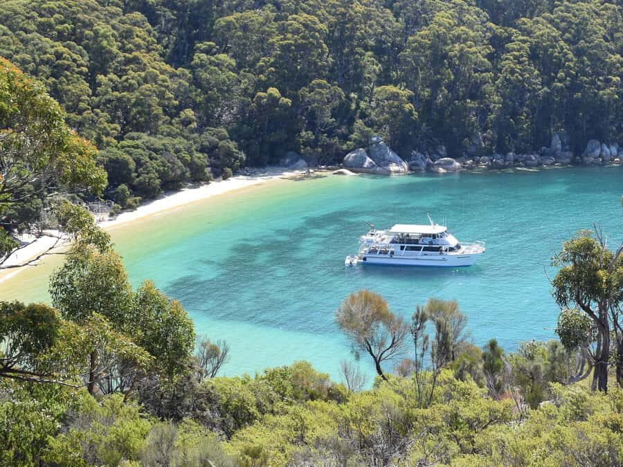 Welshpool: Wilsons Promontory Nature and Wildlife Day Cruise - What Reviewers Say