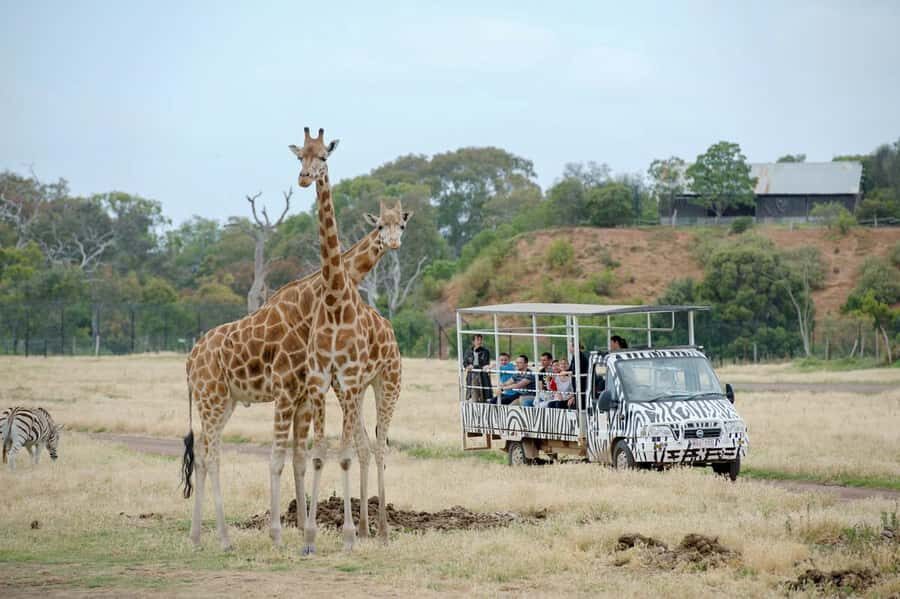 Werribee Open Range Zoo: Entry Ticket - Planning Your Visit: What to Expect