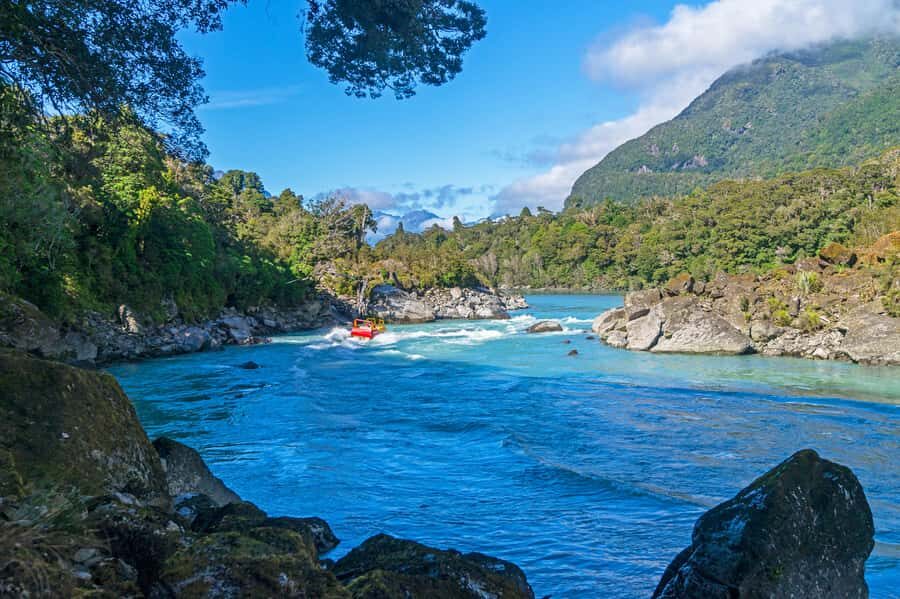West Coast: Eco River Safari in UNESCO World Heritage Area - The Allure of the West Coast Eco River Safari