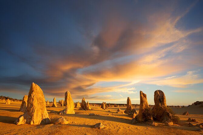 Western Australias Paradise: A Private Day Tour from Perth - What Makes This Tour Stand Out?