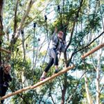 Western Sydney Tree Ropes Course - Who Will Love It?