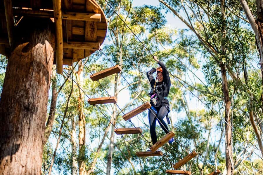 Western Sydney: Tree Ropes Courses - What to Expect on the Course