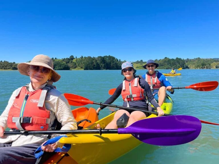 Whakatane: Ohiwa Harbour Guided Kayak Tour - The Itinerary: What to Expect