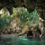 Whangamata: Donut Island Guided Kayaking Experience - What to Expect from the Experience