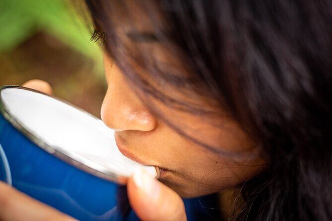 Whirinaki Forest Footsteps: Mori Guided Tour, Picnic & Transfer - FAQ