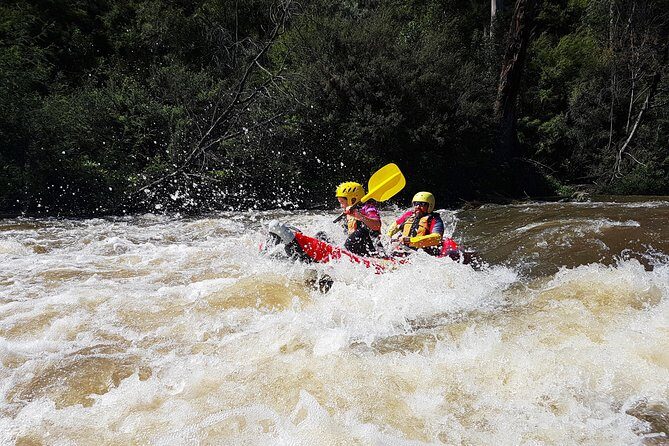 Whitewater Sports rafting on the Yarra river - Authentic Experiences from Reviewers