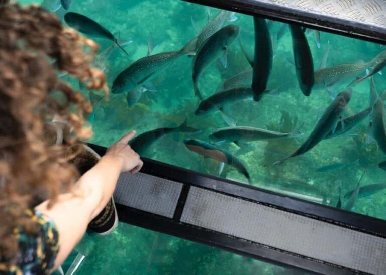 Whitianga: 2-Hour Glass Bottom Boat Cathedral Cove Tour - Exploring Sea Caves and Sea Life