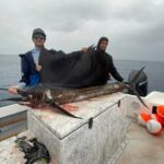 Wholesale Fishing in Poti Marara at Tahiti Teahupoo Peninsula - The Experience: What You Can Expect from the Tour