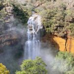 Wild Kangaroos & Blue Mountains private tour - In-Depth Experience Review