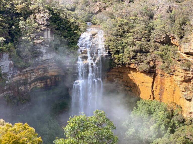 Wild Kangaroos & Blue Mountains private tour - In-Depth Experience Review
