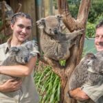 Wildlife, Wine & Waves  Epic South Coast Adventure from Sydney - An In-Depth Look at the South Coast Adventure