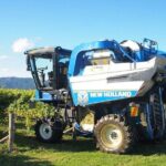 Wine and Gourmet Picnic Experience of Marlborough - Price & Value Analysis