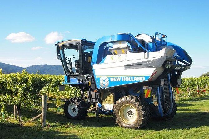 Wine and Gourmet Picnic Experience of Marlborough - Price & Value Analysis