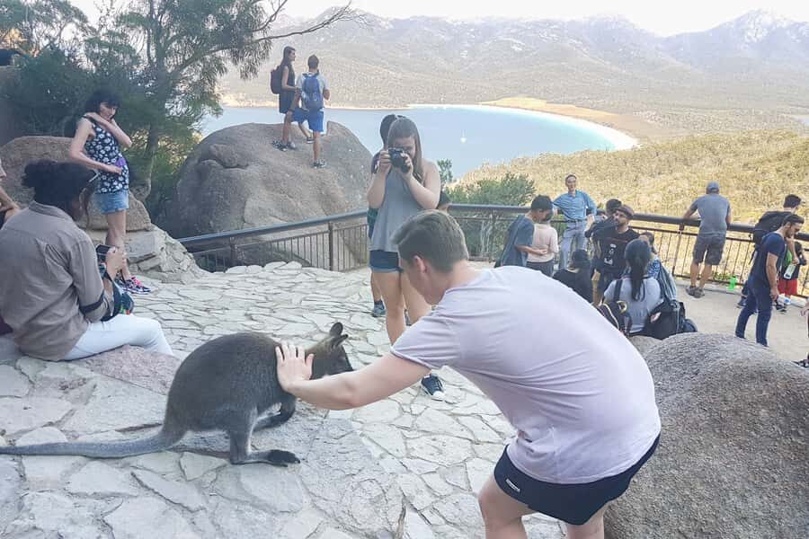 Wineglass Bay & Freycinet National Park Day Trip from Hobart - What to Expect on the Tour
