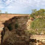 Winton: Bladensburg National Park Half Day Tour - Who Should Take This Tour?