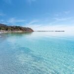 Wirrina Cove: Coastal Sightseeing Boat Tour with Seal Colony - Who Will Love This Tour?