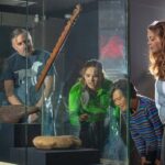 WLG: Museum of NZ Mori Highlights Tour & General Admission - In-Depth Look at the Itinerary