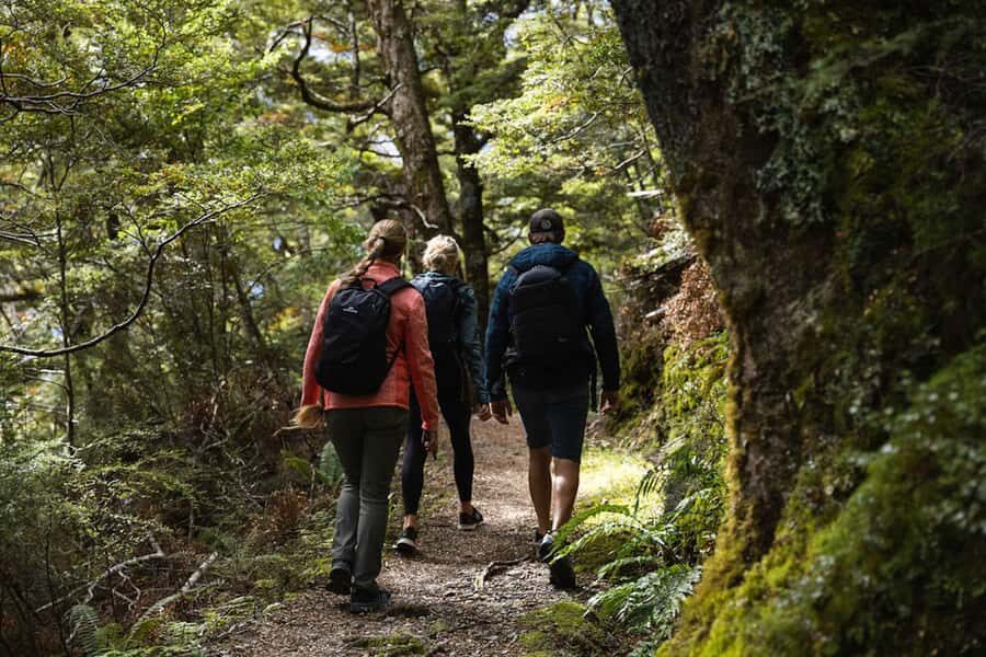 Wnaka: Heli Siberia - Helicopter Flight, Hike & Jet Boat - The Helicopter Flight: A Bird’s Eye View of Pure Wilderness