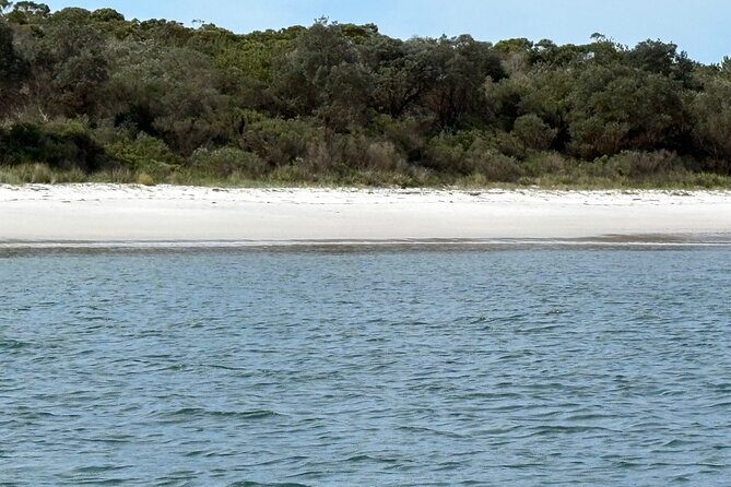 Wollongong and Kiama South Coast NSW Tours - The Guide and Overall Experience