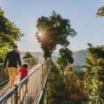 Wooroonooran National Park: Mamu Tropical Skywalk Admission - What to Expect from the Wooroonooran Mamu Tropical Skywalk