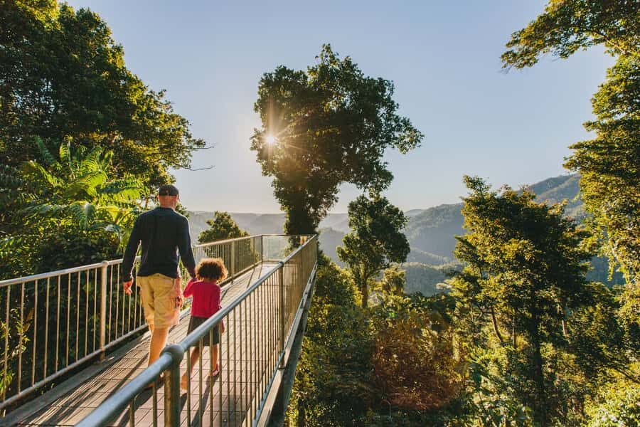 Wooroonooran National Park: Mamu Tropical Skywalk Admission - What to Expect from the Wooroonooran Mamu Tropical Skywalk