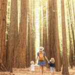 Yarra Valley | Redwoods, Wildlife, Wine, Chocolate - Practical Considerations and Tips
