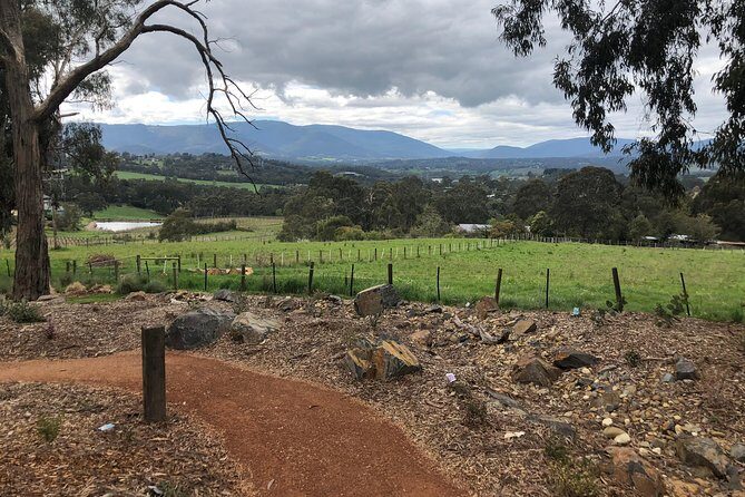 Yarra Valley Wine Tour inc lunch with a glass of wine, tastings and chocolate - Authentic Traveler Insights